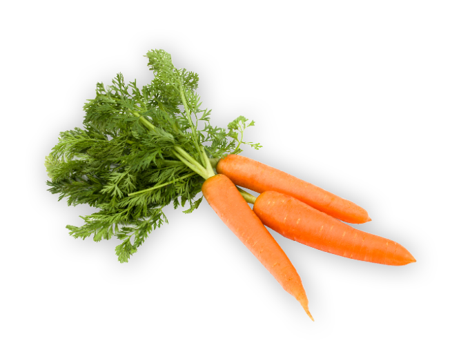 Zerella Fresh - Australian Grown Fresh Produce-Carrots-Onions-Potatoes